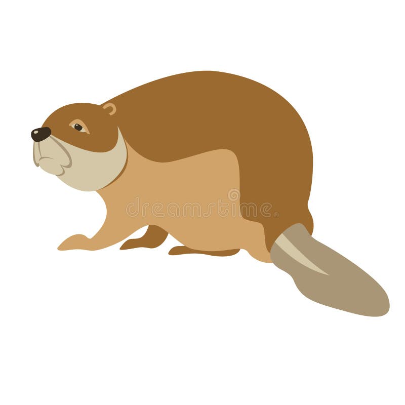 Cartoon Sad Beaver Stock Illustrations – 56 Cartoon Sad Beaver Stock ...