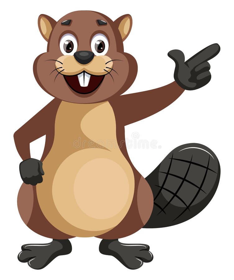 Funny Beaver Pointing At A Sign Stock Vector - Illustration of amusing ...