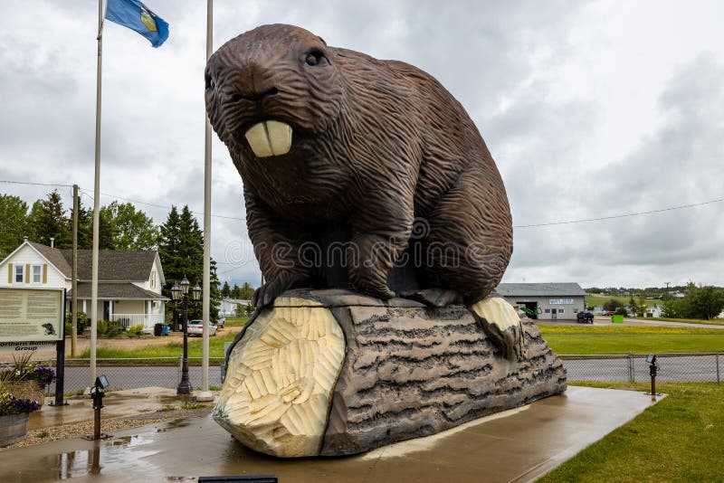 Beaver Statue stock image. Image of outdoors, garden - 102598649