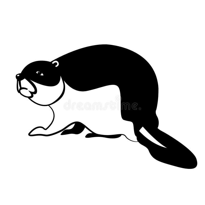 Beaver vector stock vector. Illustration of vector, design - 69005872
