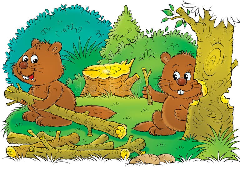 Beavers at work stock illustration. Illustration of stump - 2030506