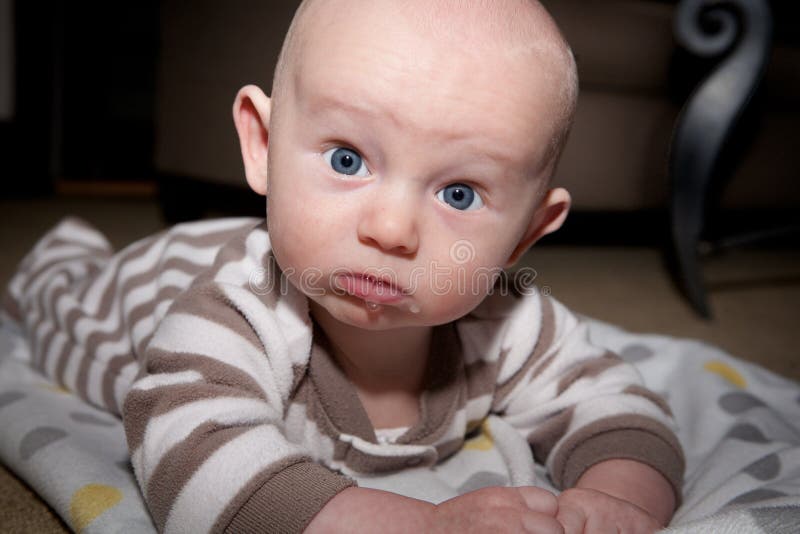 Bebé calvo imagen de archivo. Imagen de divertido, interesado - 36427705