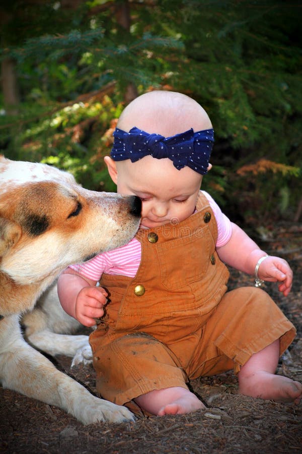 Bebê Calvo Na Sujeira Com Cão Foto de Stock - Imagem de infante, feliz ...
