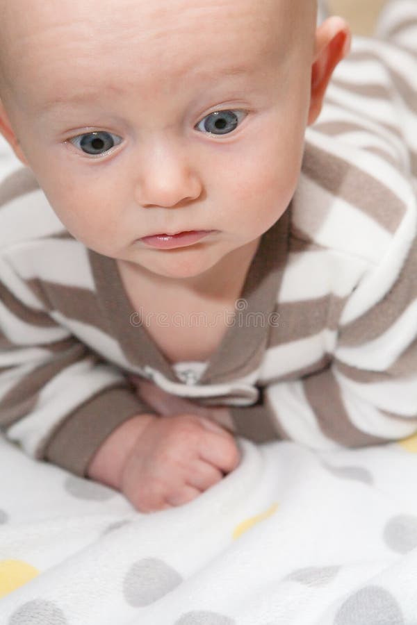 Bebê Calvo Com Olhos De Big Blue Imagem de Stock - Imagem de olhos ...