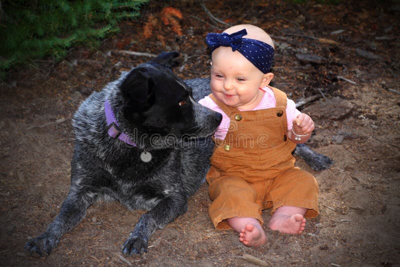 Bebê Calvo Com Olhos De Big Blue Imagem de Stock - Imagem de olhos ...