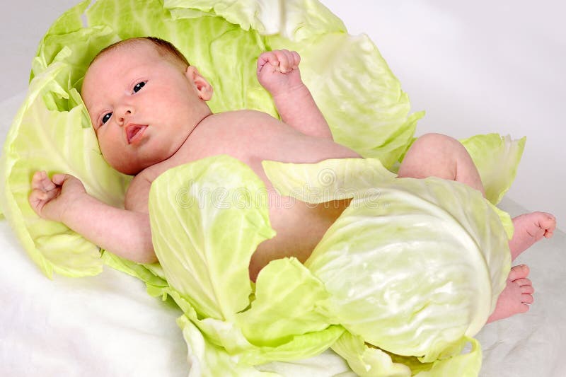 Bebê Recém-nascido Nas Folhas Do Repolho Foto de Stock - Imagem de ...