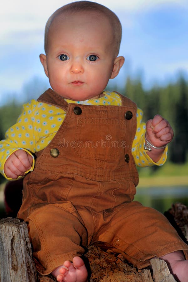 Bebê Calvo Na Sujeira Com Cão Foto de Stock - Imagem de infante, feliz ...