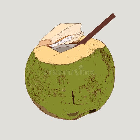 Bebida Da água Do Coco, Coco Verde Ilustração do Vetor - Ilustração de ...