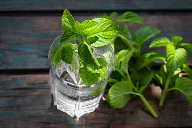 Bebida Efervescente Con La Menta Imagen de archivo - Imagen de refresco ...
