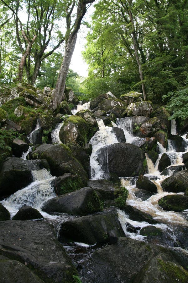 Becky Falls stock photo. Image of forest, green, waterfall - 6338462