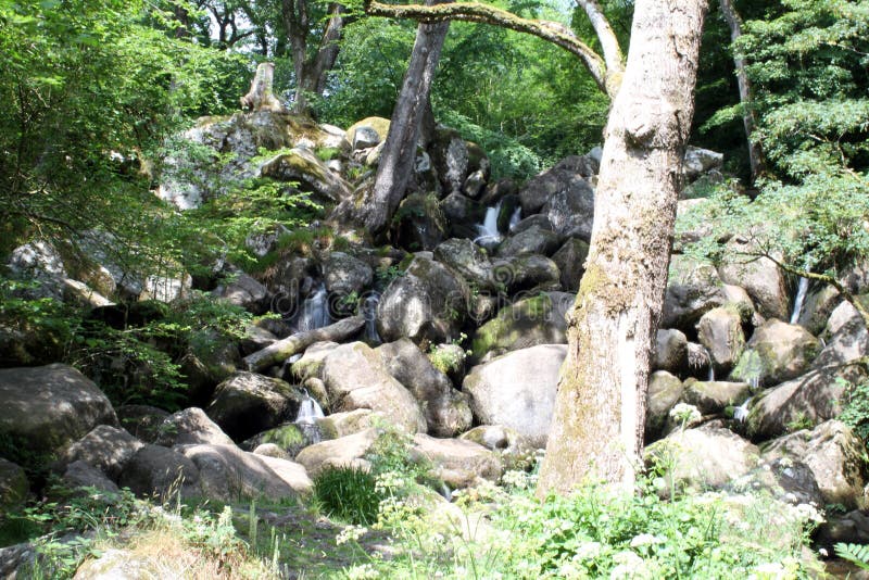 Becky Falls stock photo. Image of forest, green, waterfall - 6338462