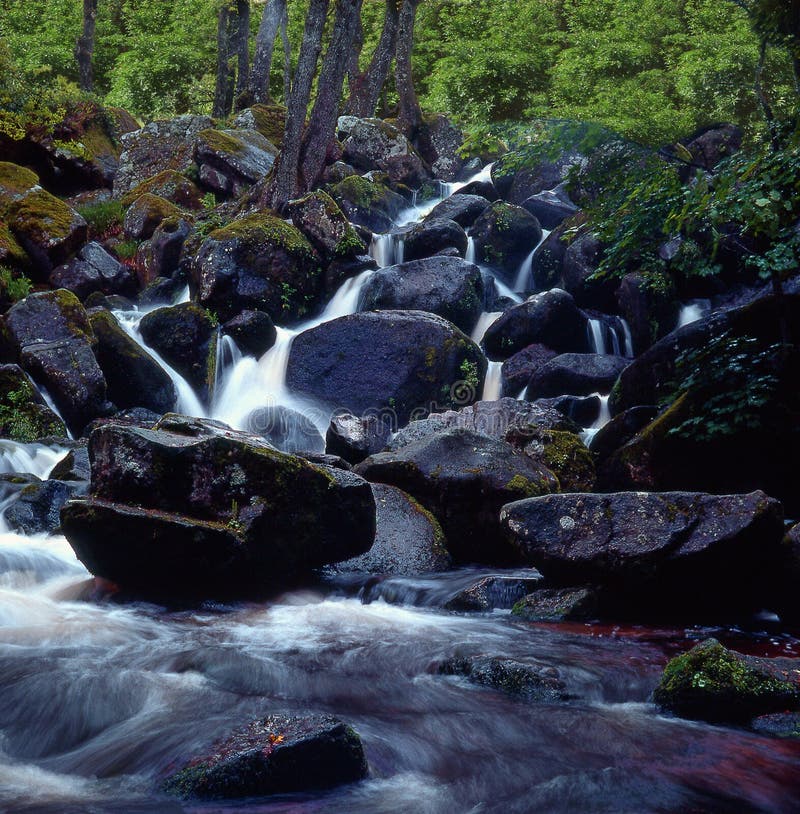 Becky Falls stock photo. Image of lichens, british, countryside - 38494296