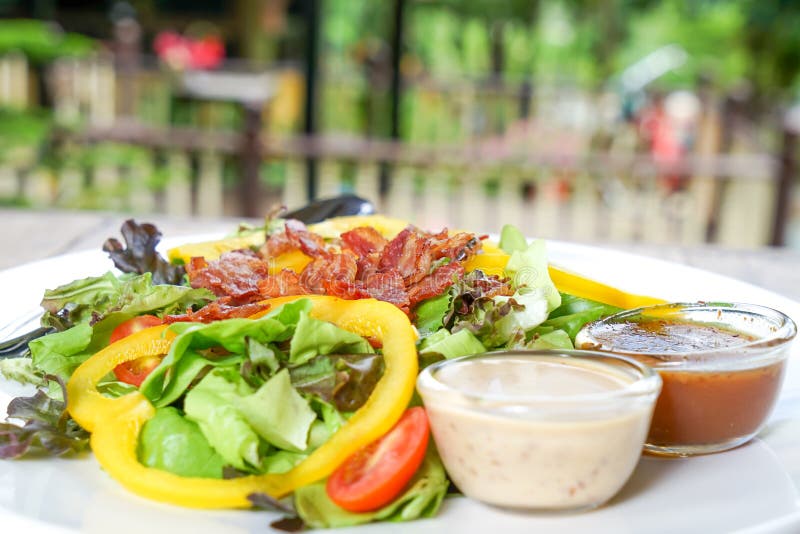 Becon salad stock photo. Image of food, leaf, fresh, healthy - 47108026