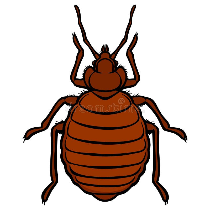 Bed Bug Icon stock vector. Illustration of hemiptera - 88570228