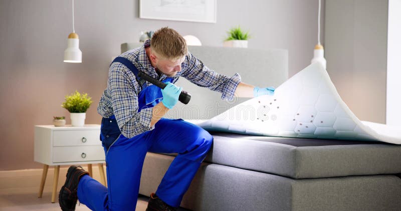 Bed Bug Infestation and Treatment Service Stock Photo - Image of ...