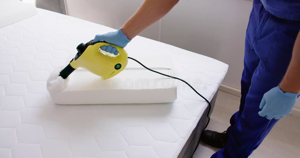 Bed Bug Pillow Pest Control Cleaning Stock Photo - Image of worker ...