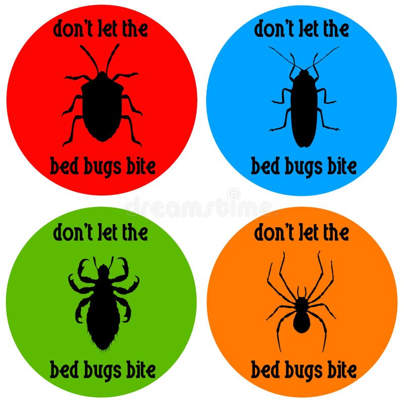 Life Cycle of the Bed Bug Vector Eps10 Stock Vector - Illustration of ...