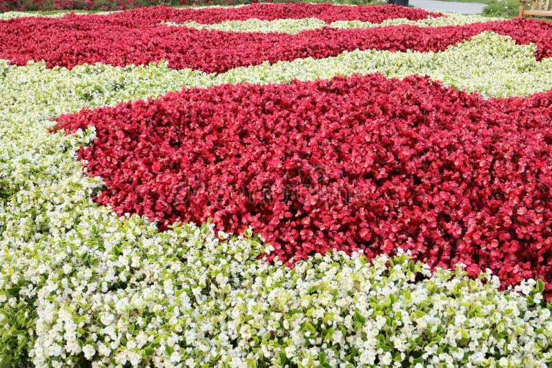 Geneva Flower Clock stock image. Image of blossom, attractive - 42547425