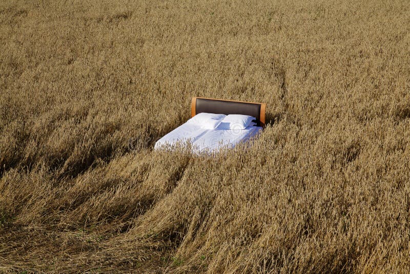 Bed in a Grain Field- Concept of Good Sleep Stock Photo - Image of ...