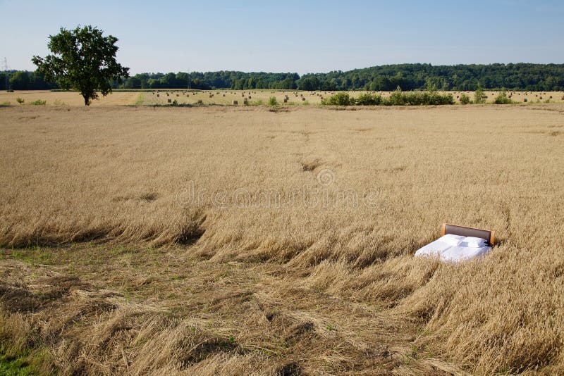 Bed in a Grain Field- Concept of Good Sleep Stock Image - Image of ...