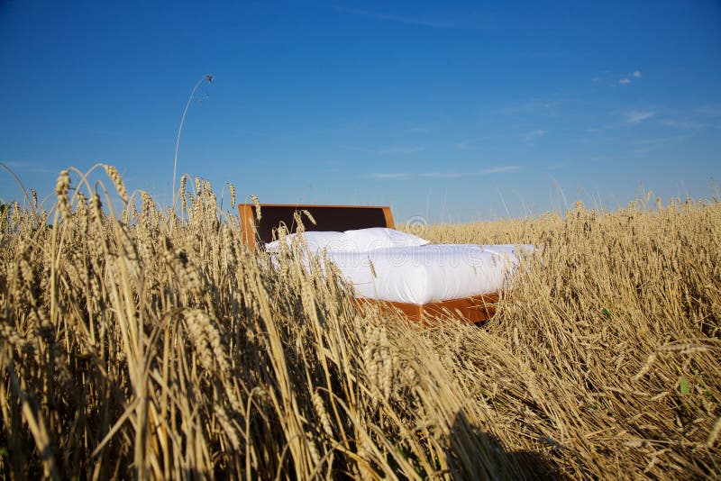 Bed in a Grain Field- Concept of Good Sleep Stock Image - Image of ...
