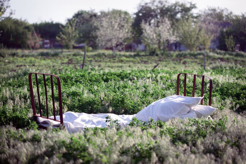 Bed in a green field stock image. Image of beautiful - 220455903