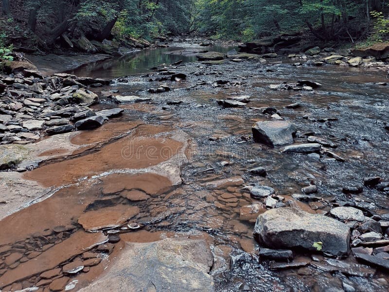 Bed of rocks stock photo. Image of nature, autumn, rapid - 220966574