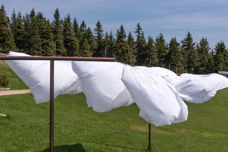 5,166 Wind Sheet Stock Photos - Free & Royalty-Free Stock Photos from ...