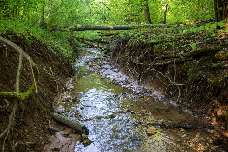 The Bed of a Small Stream with High Sides Stock Image - Image of ...
