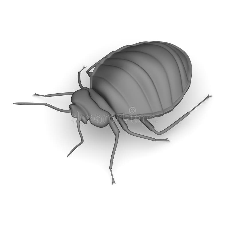 Nasty Bed Bug stock vector. Illustration of parasite - 20746271