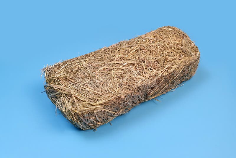 Bedding Hay Bale for Rabbit, Hay for Guinea Pigs on Blue Table. Front ...