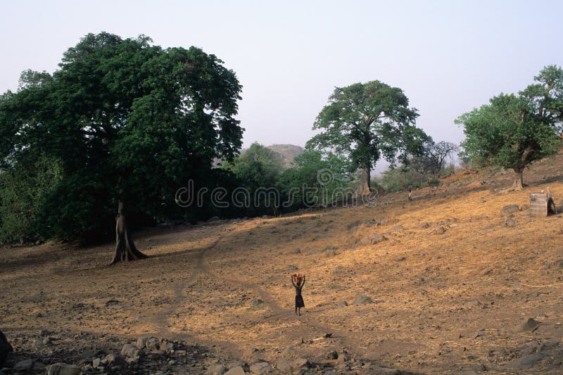 BEDIKS - Senegal editorial stock image. Image of bassari - 23047759
