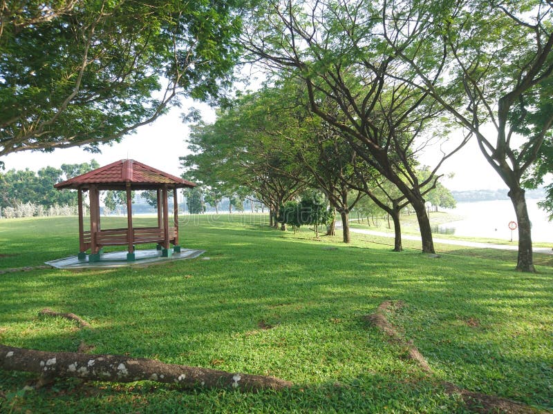 Bedok reservoir stock image. Image of bedok, singapore - 109588005