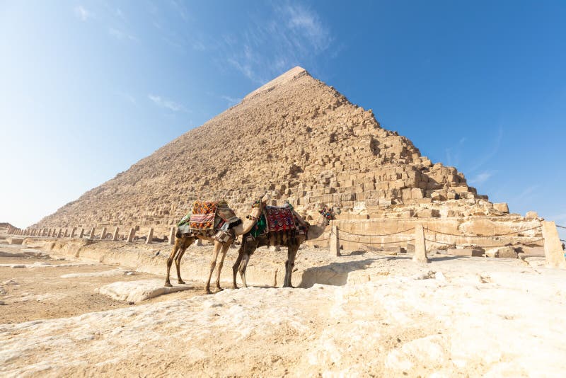 Bedouin on Camel Near Pyramids in Desert. Stock Image - Image of africa ...
