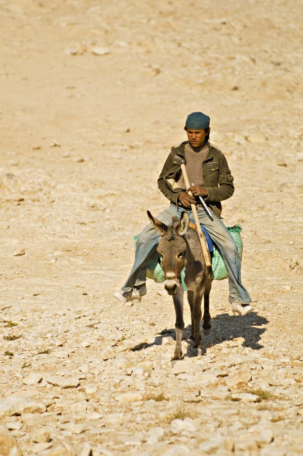 Bedouin children editorial stock image. Image of tribesman - 22465014