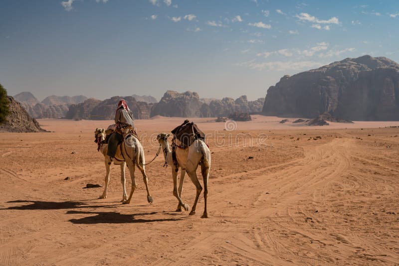 Bedouin Riding a Dromedary Camel in Wadi Rum Stock Photo - Image of ...