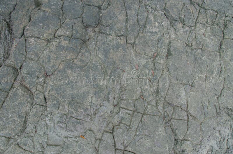 Bedrock stock photo. Image of rock, bedrock, beach, texture - 55504340