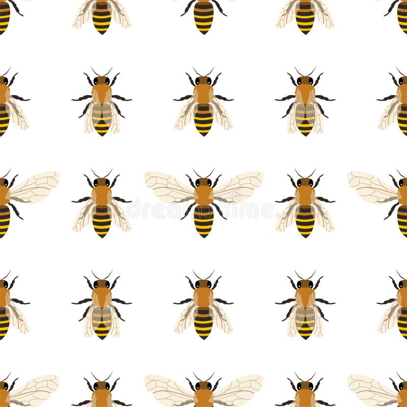 Vector Seamless Pattern with Honey Bee. Stock Vector - Illustration of ...