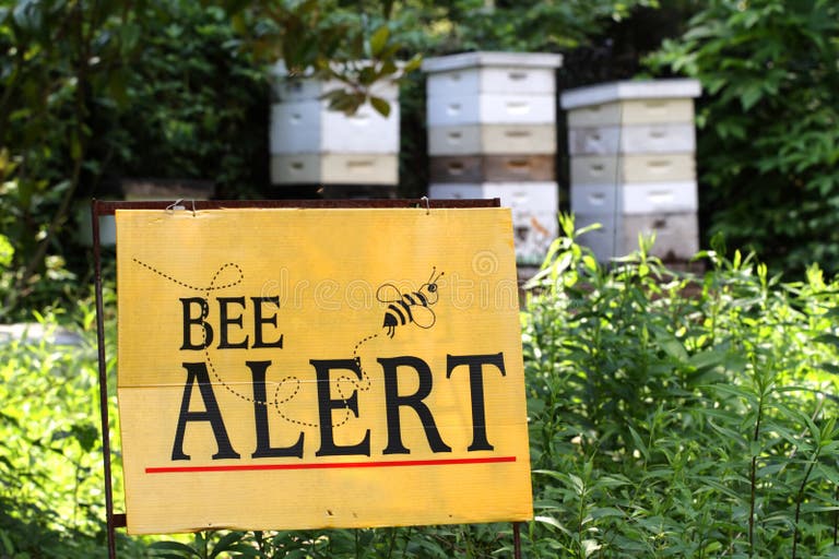 Bee Alert stock image. Image of species, pollen, honey - 5427185