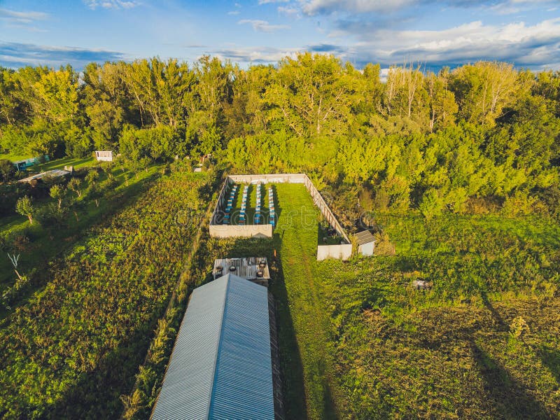 Bee Apiary with Beehives Top View Green. Stock Photo - Image of ...