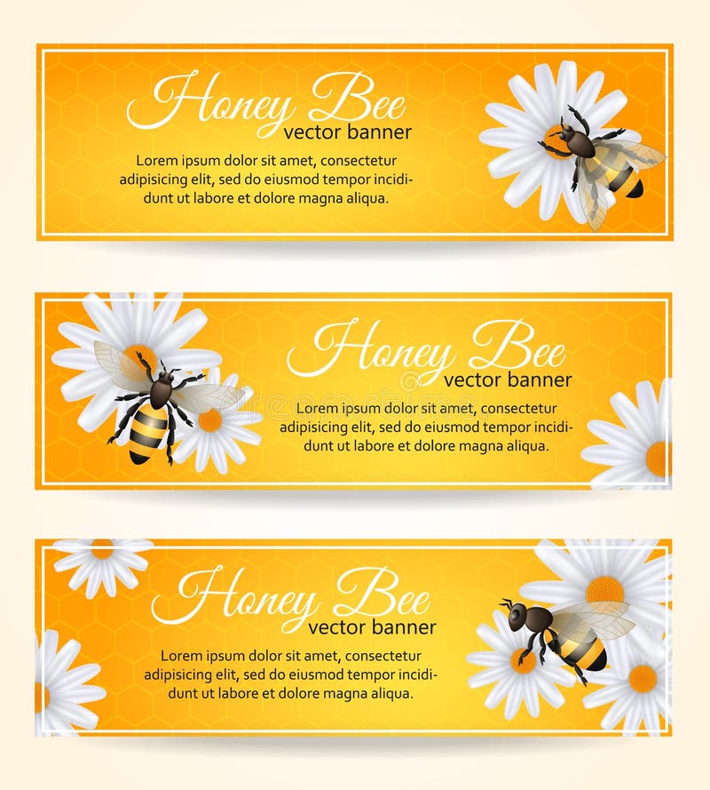 Bee banners set stock vector. Illustration of bumblebee - 40959136