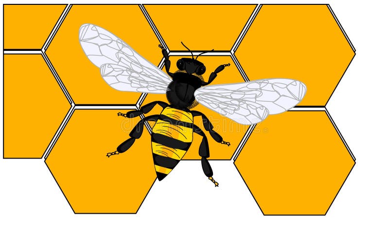Bee in bite stock illustration. Illustration of beekeeper - 184324022