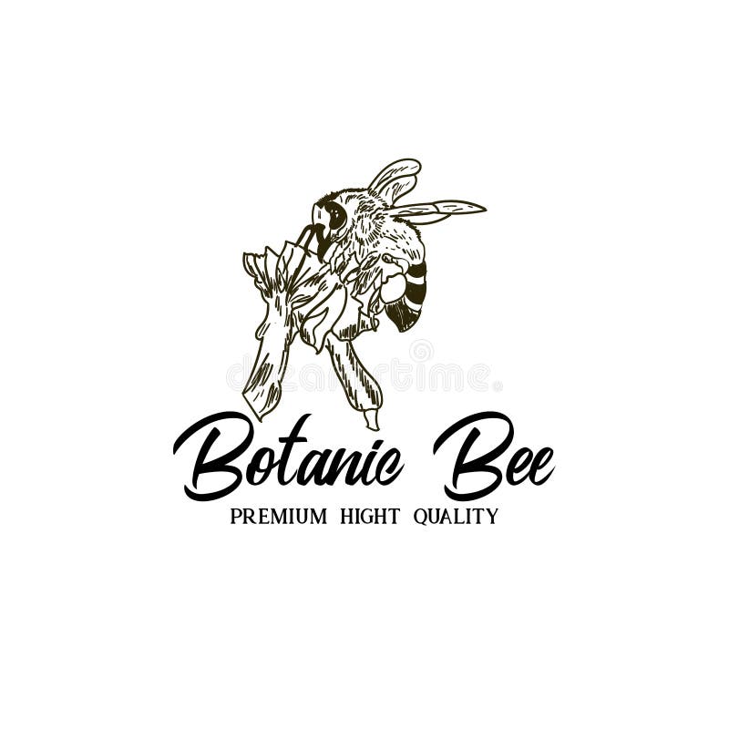 Bee Botanic Design Logo Vector Stock Vector - Illustration of engraved ...