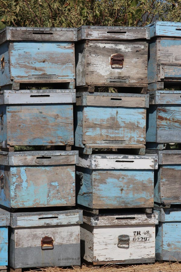 Bee box stock photo. Image of apiary, nature, park, beehouse - 23211766