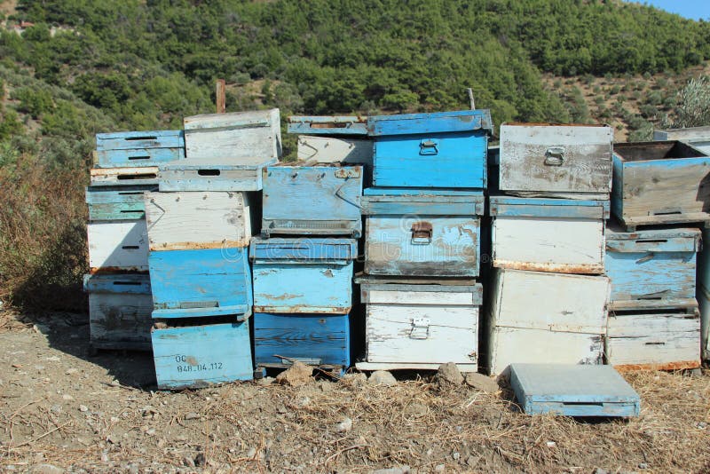 Bee Box stock photo. Image of honey, green, traditional - 27946804
