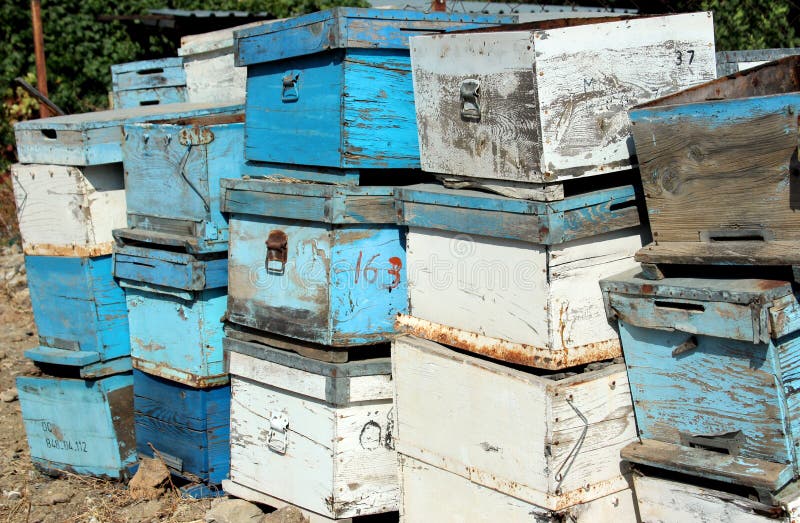 Bee Box stock image. Image of background, equipment, small - 27946893