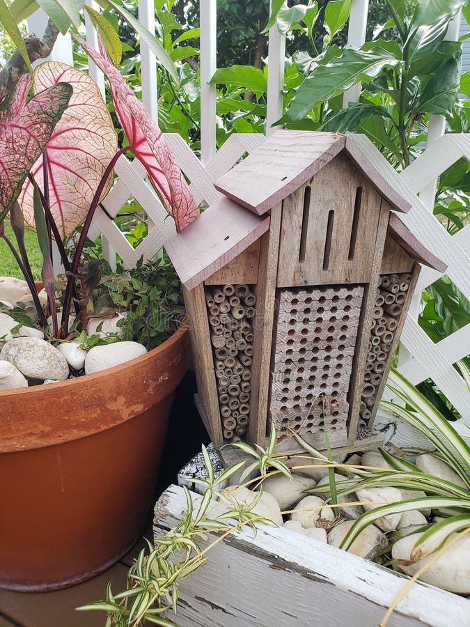 Bee box patio garden stock image. Image of patio, garden - 183794521