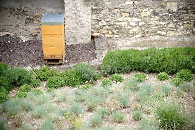 Bee boxes in the garden stock image. Image of wall, crate - 91287621