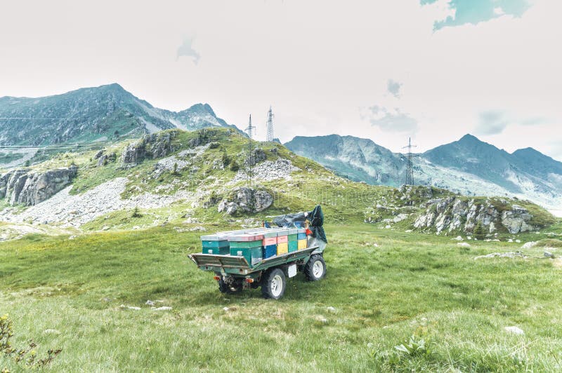 Bee Boxes on Tractor in the Mountains Stock Photo - Image of mountain ...