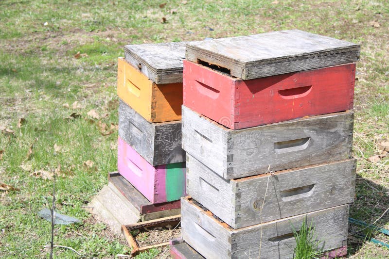 Bee Boxes stock photo. Image of pest, boxes, iron, wood - 245944482